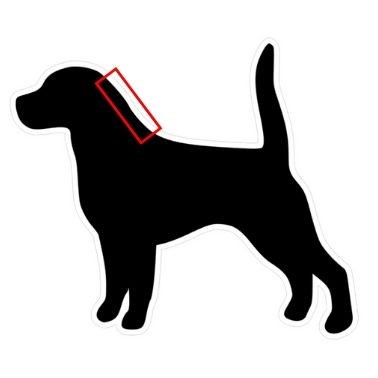 Hair Testing For Animals - Equine & Canine HTMA - Hair Tissue Mineral ...